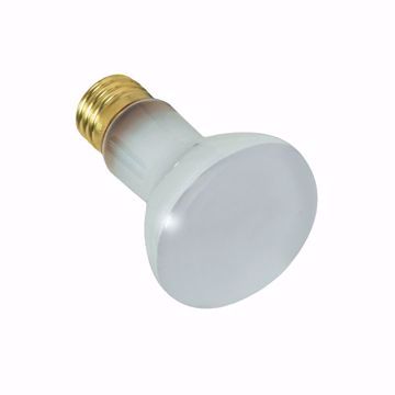 Bulbs N Lighting. SATCO S7002 100R20/FL 12V E26 POOL SPA Incandescent ...