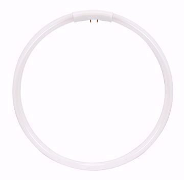 Bulbs N Lighting. SATCO S8166 FC22T5/865 4PINS ON INSIDE Fluorescent ...