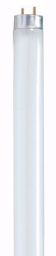 Bulbs N Lighting. SATCO S8420 F32T8/841/ENV Fluorescent Light Bulb